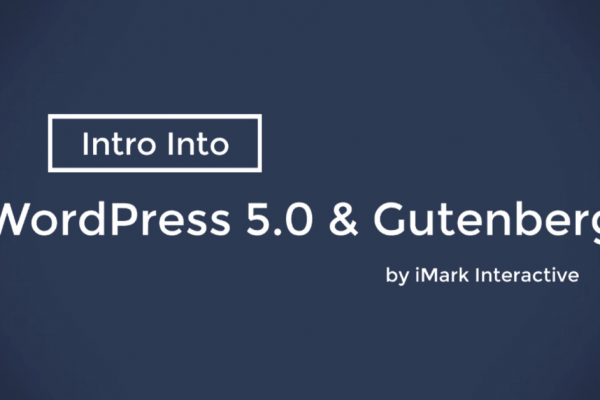 WordPress Support for Bloggers and Businesses | iMark Interactive